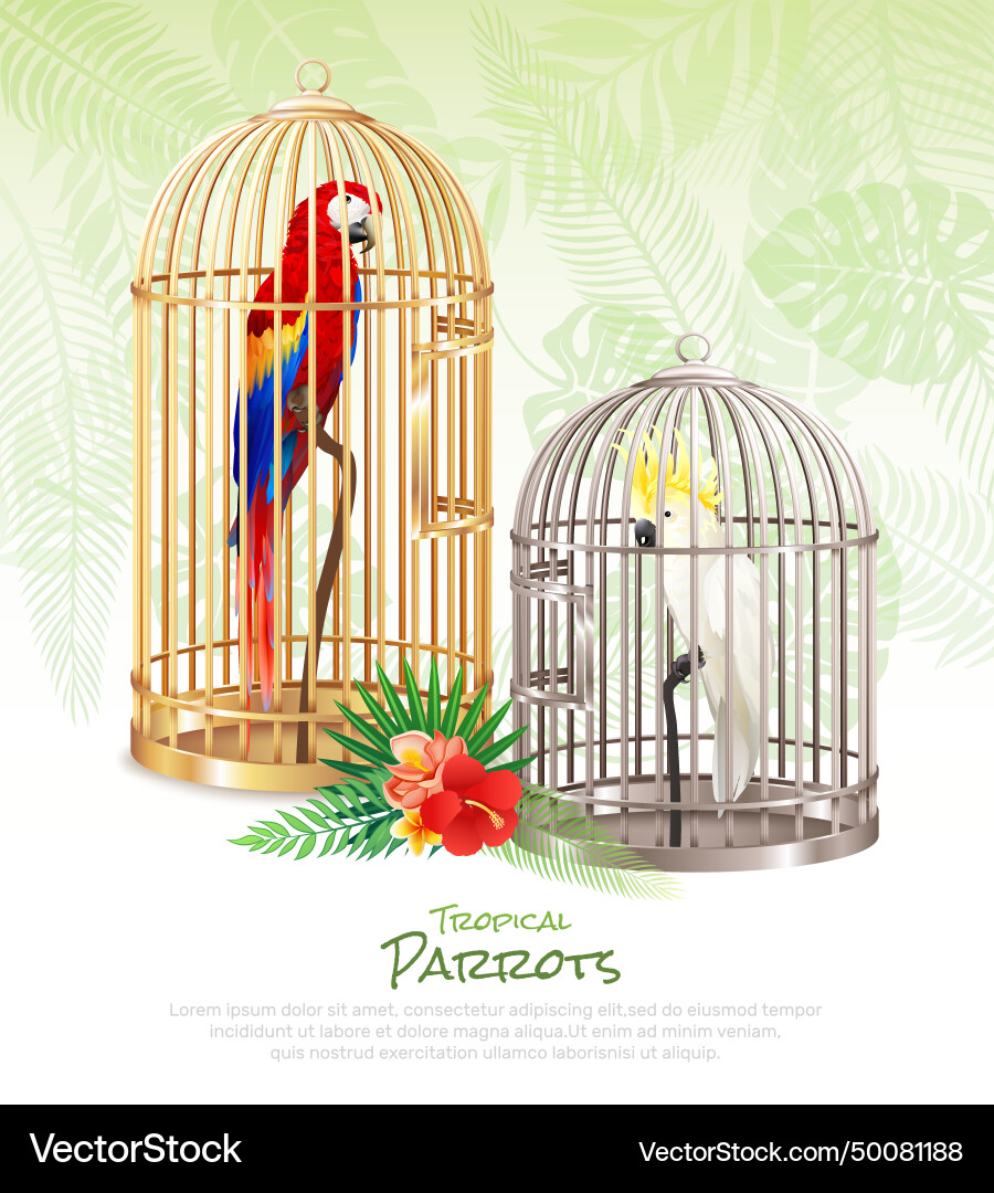 Bird market poster background Royalty Free Vector Image