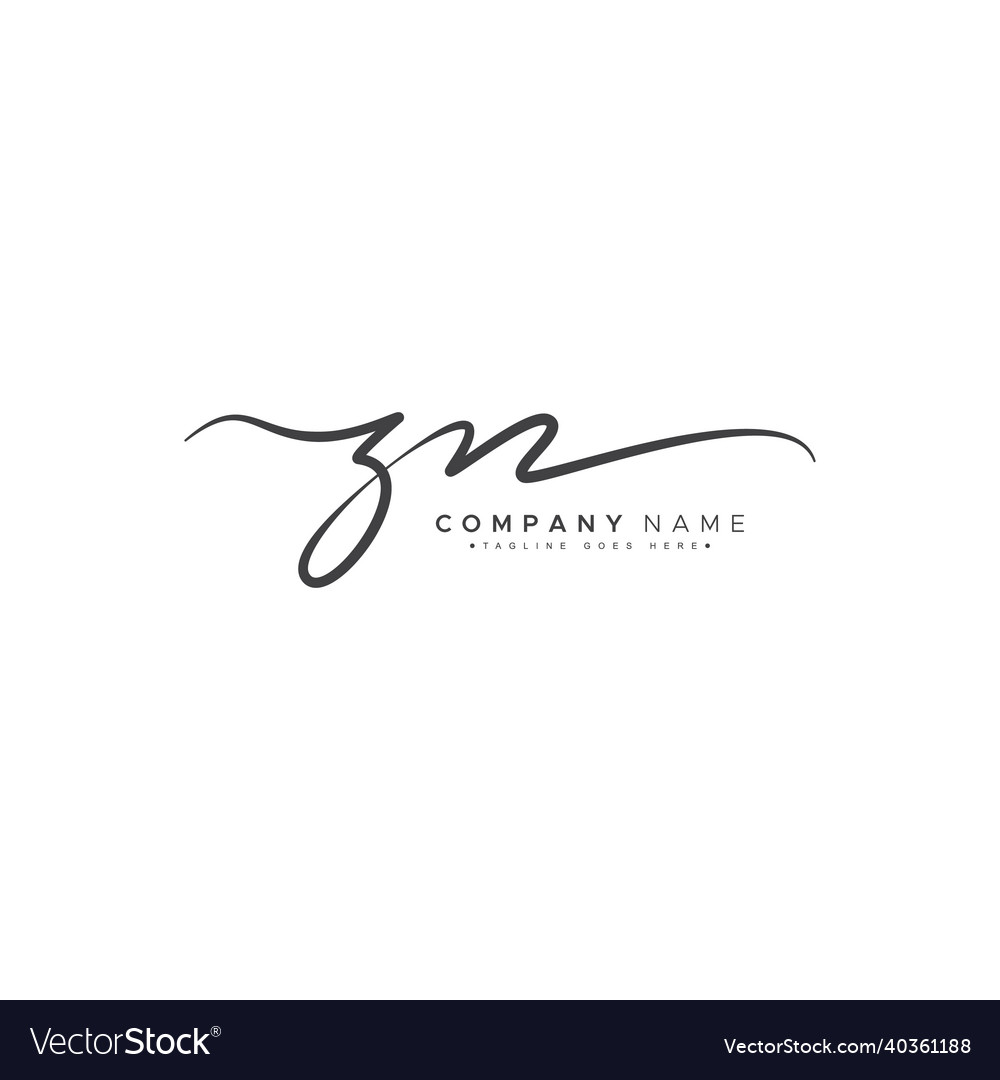 Initial letter zn logo - handwritten signature Vector Image