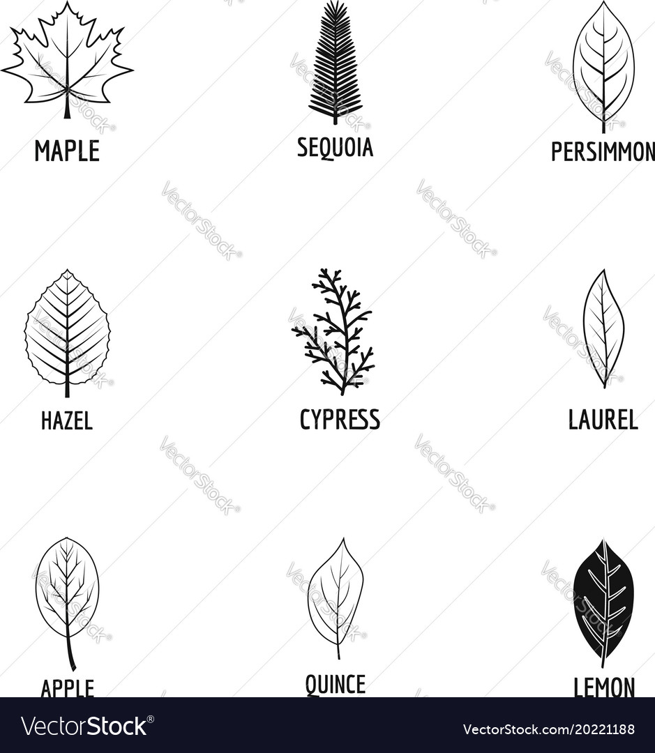 Tree structure icons set simple style Royalty Free Vector