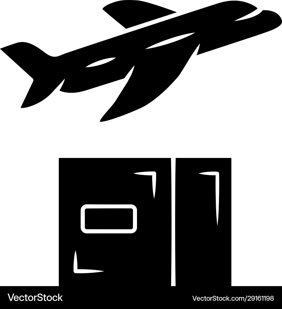 Delivery plane glyph icon international cargo Vector Image