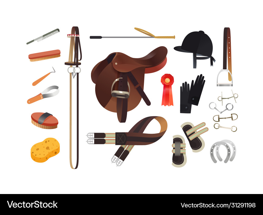 English horse riding essentials Royalty Free Vector Image