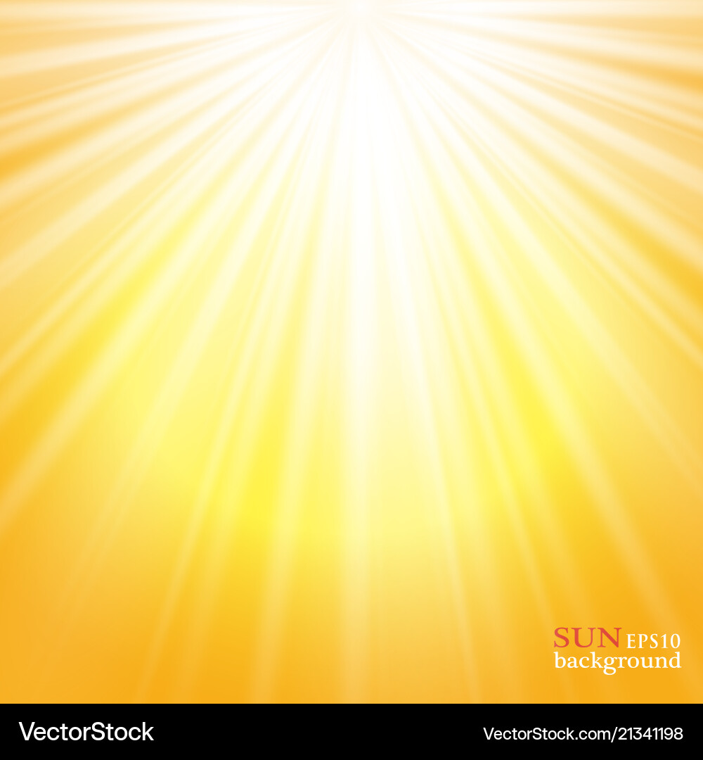 Summer background with a magnificent summer sun Vector Image