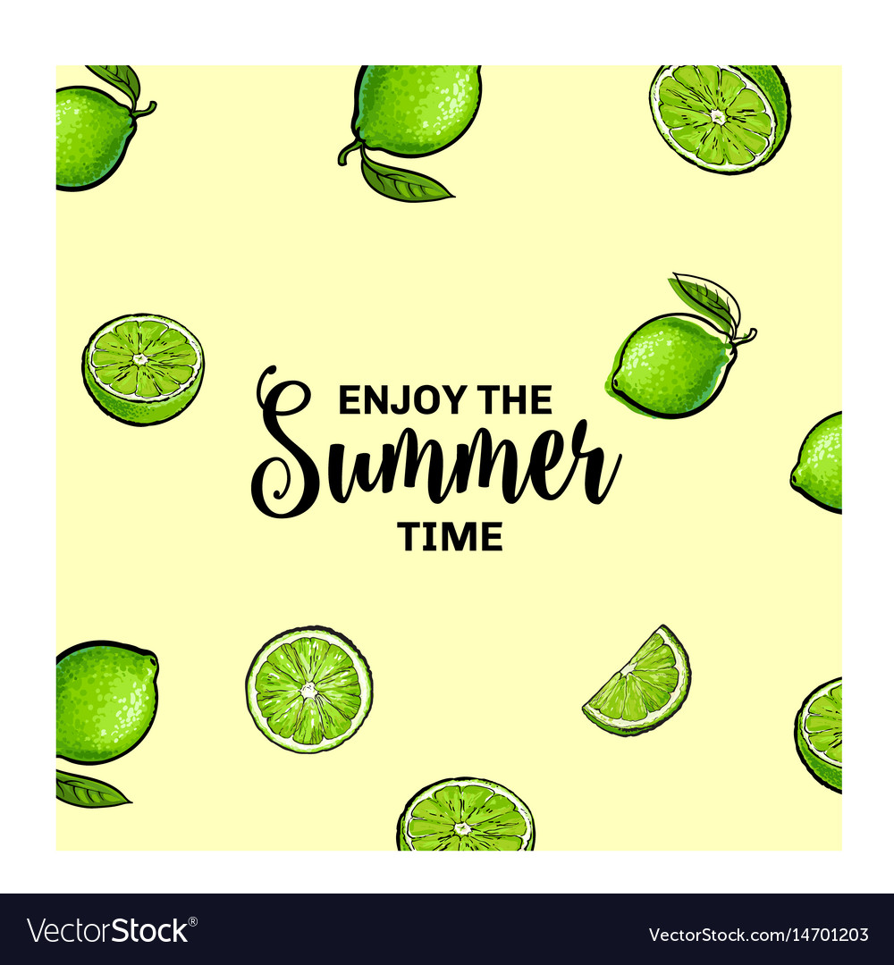 Banner postcard design with limes background Vector Image