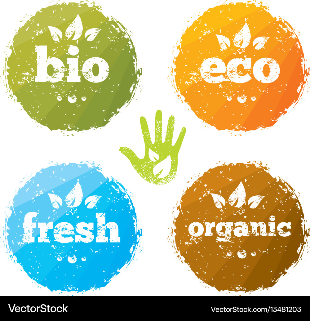 Organic eco food creative rough design concept Vector Image