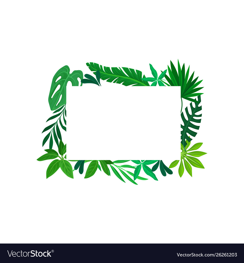 Rectangular frame leaves Royalty Free Vector Image