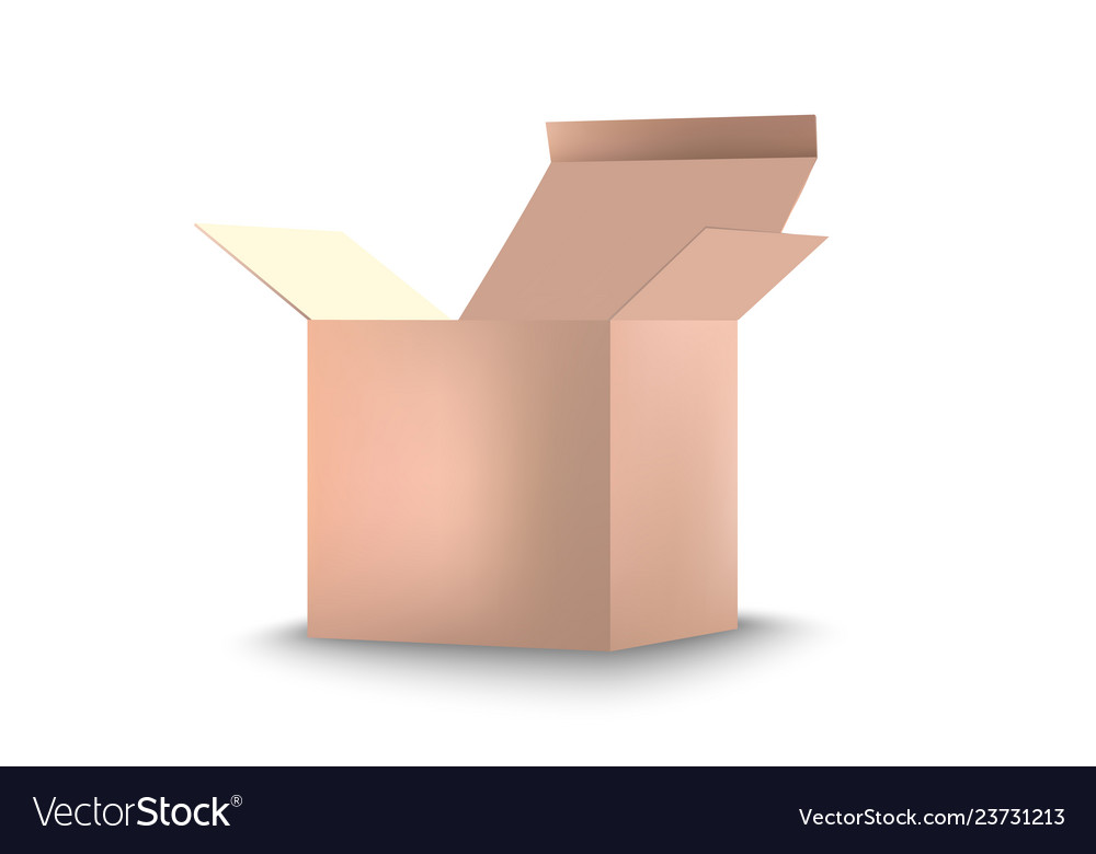 Brown square cardboard box mock up isolated Vector Image