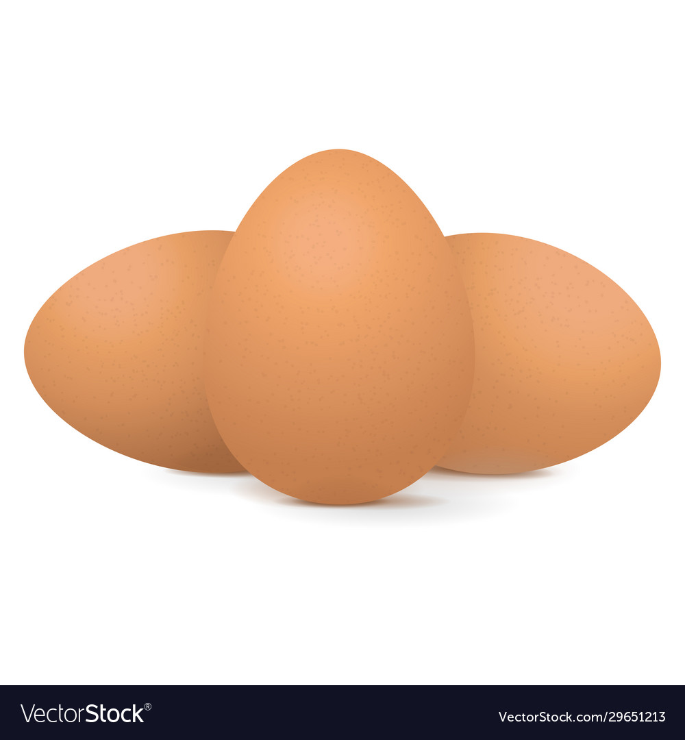 Chicken eggs Royalty Free Vector Image - VectorStock