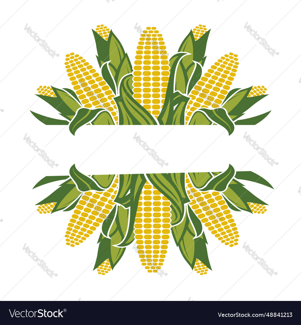 Corn cob emblem Royalty Free Vector Image - VectorStock