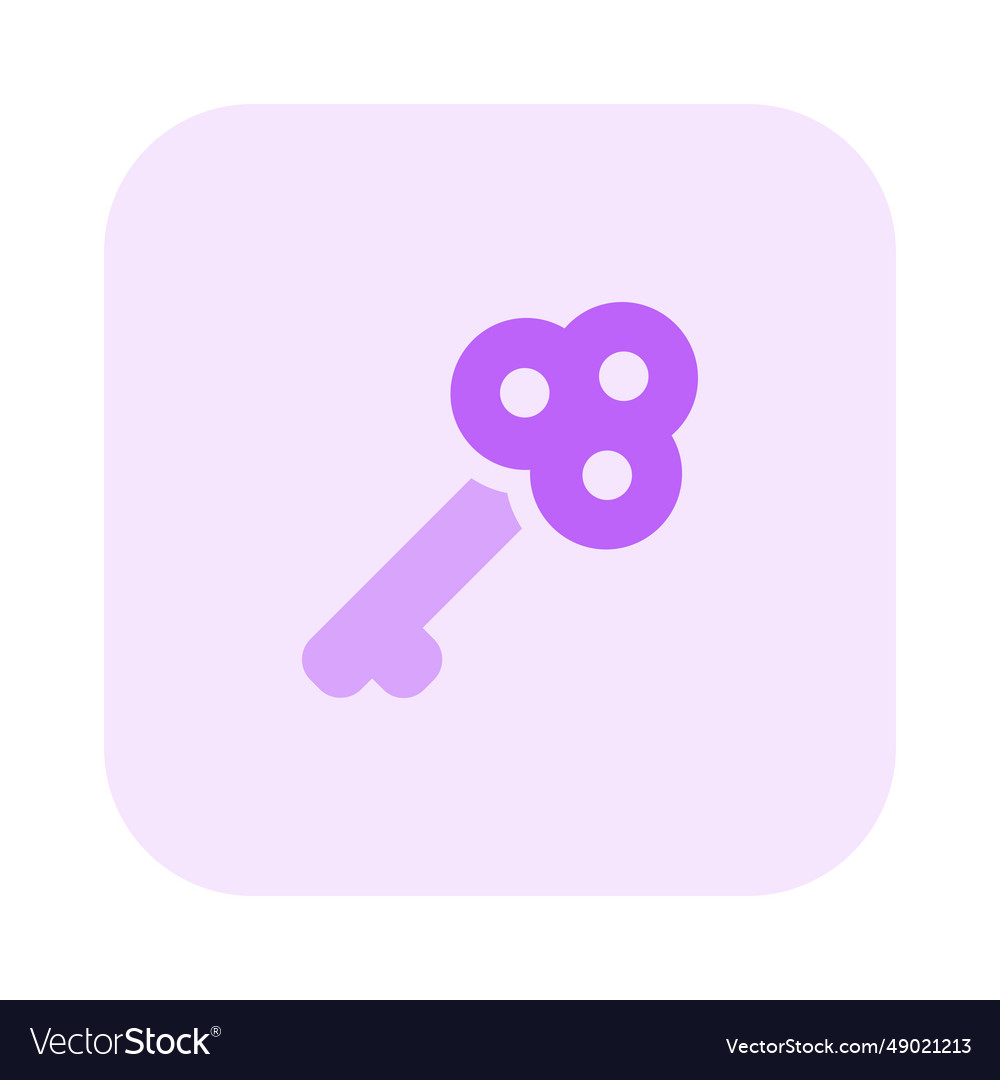 Key an access tool for locks security Royalty Free Vector