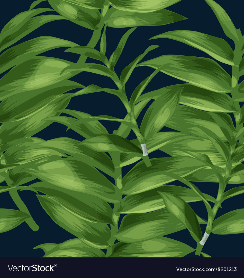 Leaf Royalty Free Vector Image - VectorStock