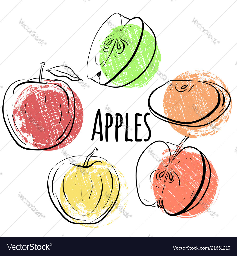 Set of apples of different shapes single Vector Image