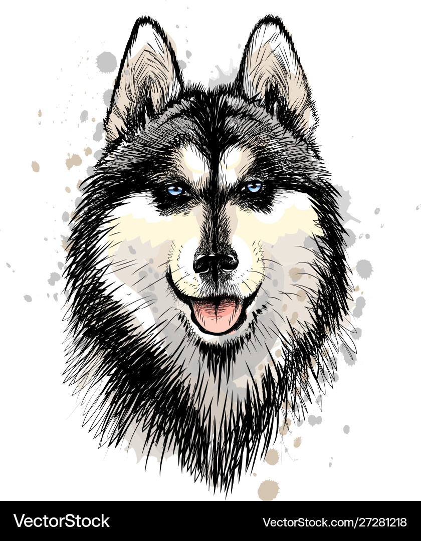 Portrait head siberian husky with Royalty Free Vector Image