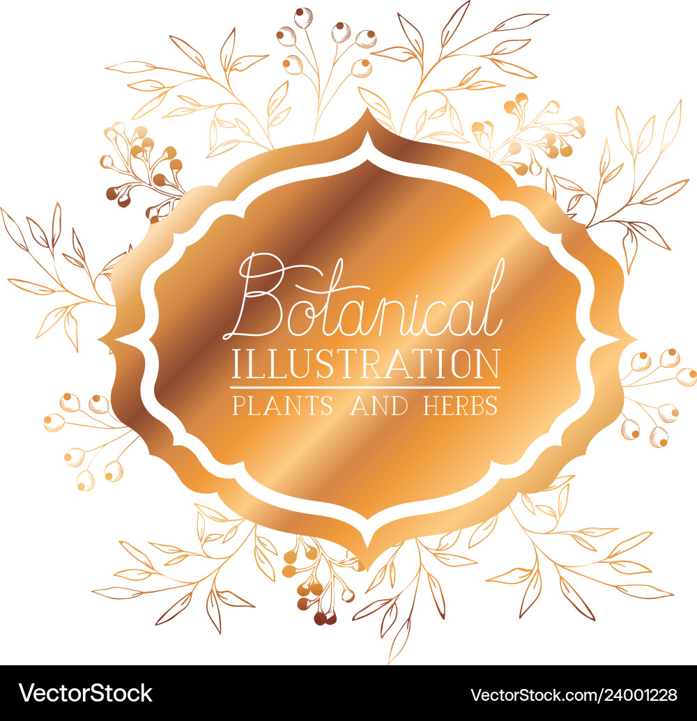 Botanical label with plants and herbs Royalty Free Vector