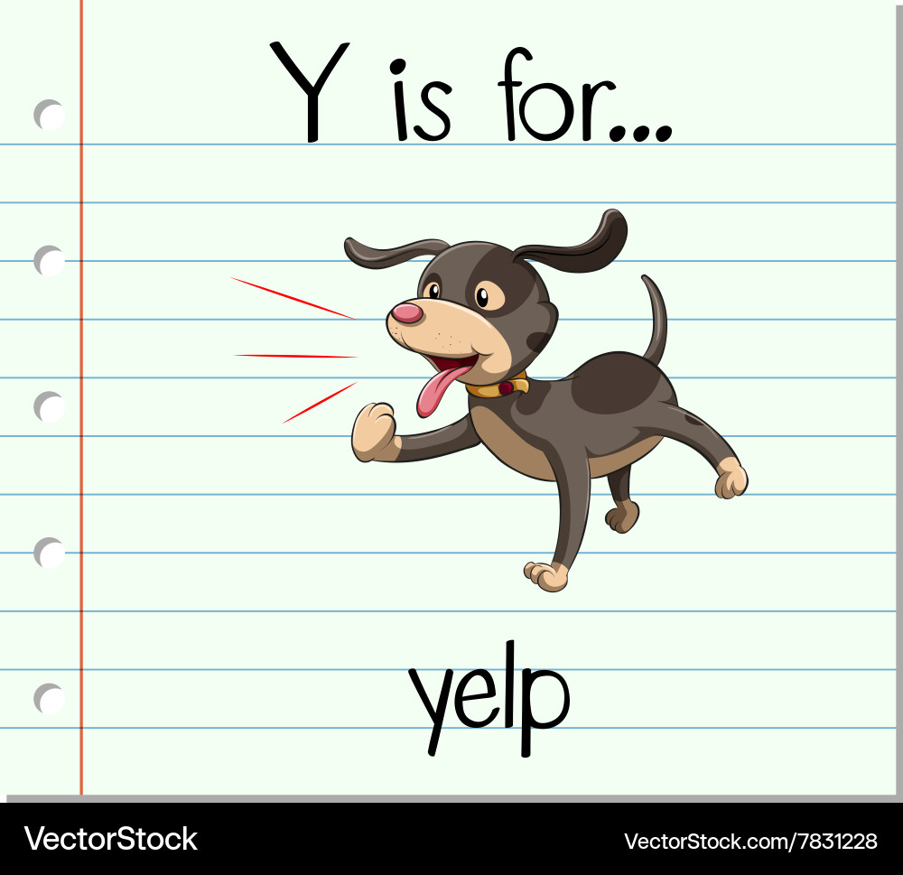Flashcard letter y is for yelp Royalty Free Vector Image