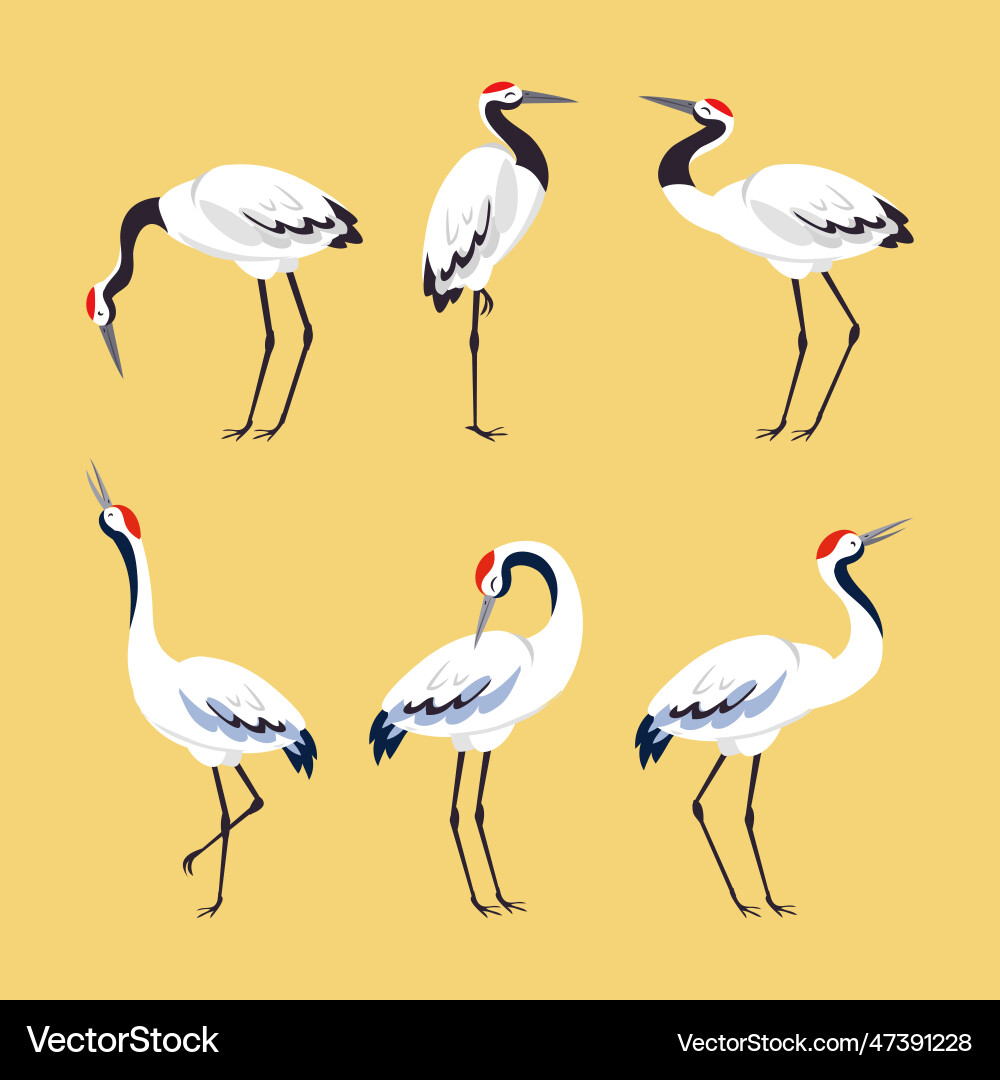 Red crowned crane as long-legged and long-necked Vector Image