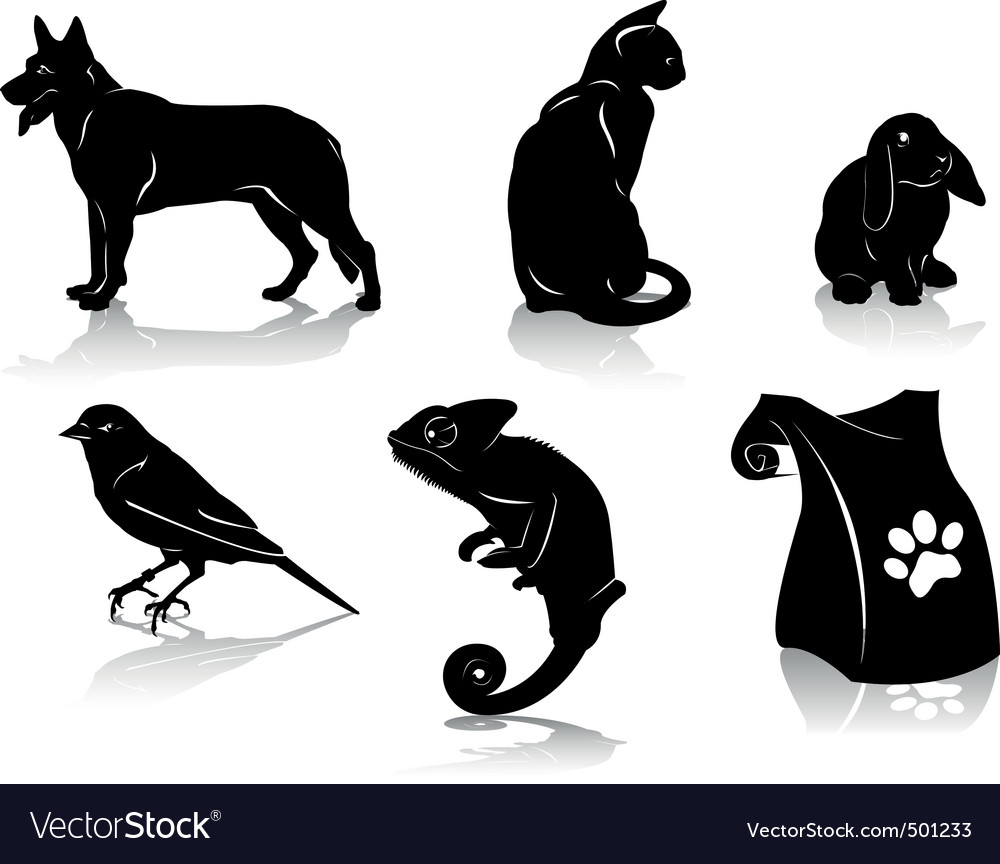 Pet Royalty Free Vector Image - VectorStock