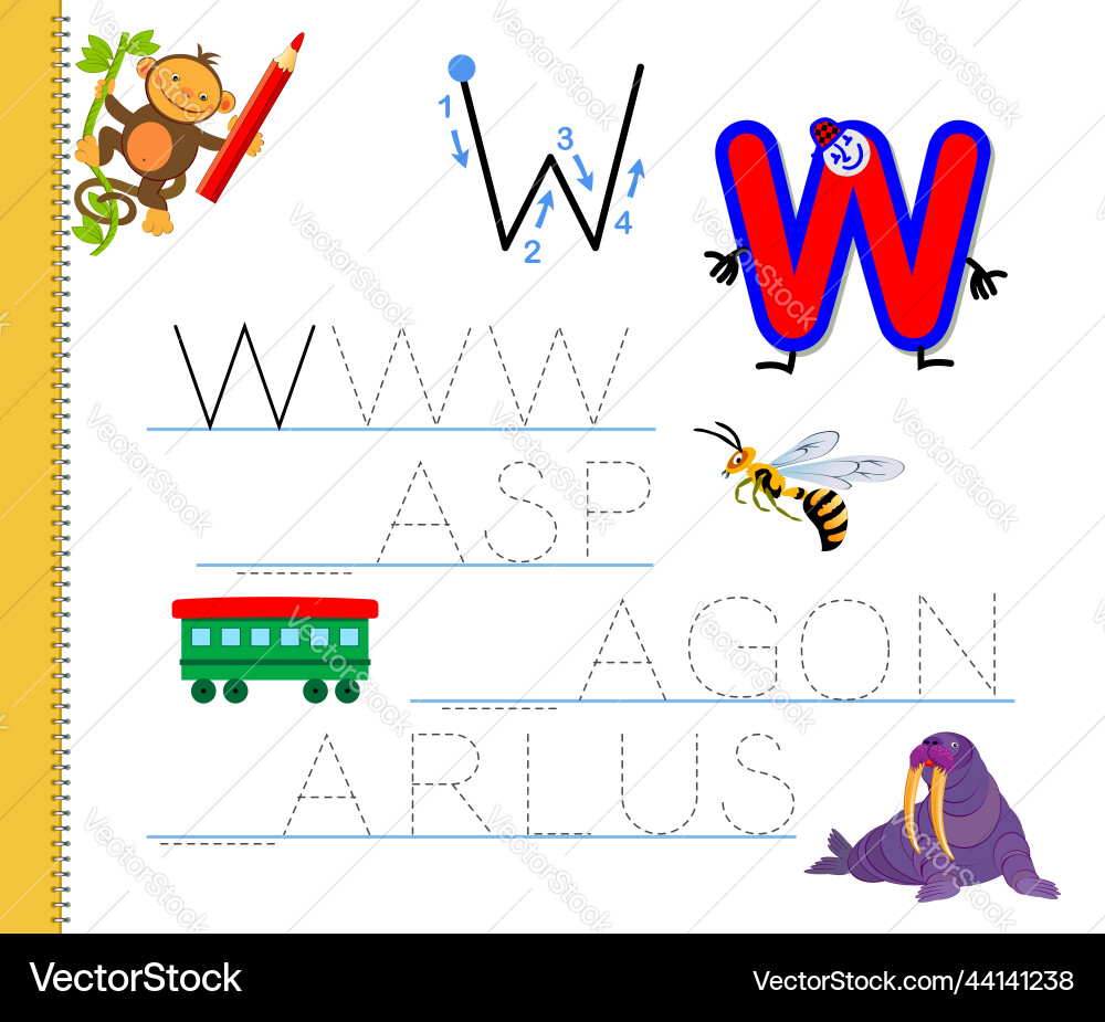 Learn to trace letter w study english words Vector Image
