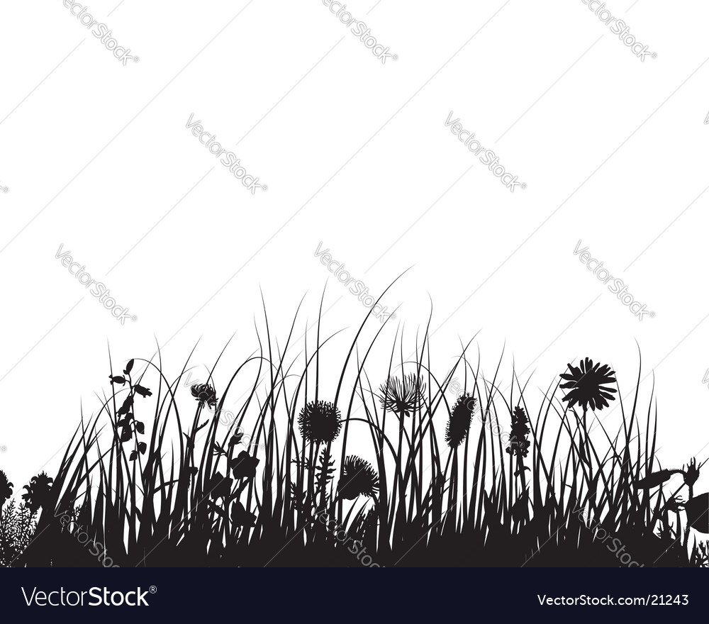 Grass Royalty Free Vector Image - VectorStock