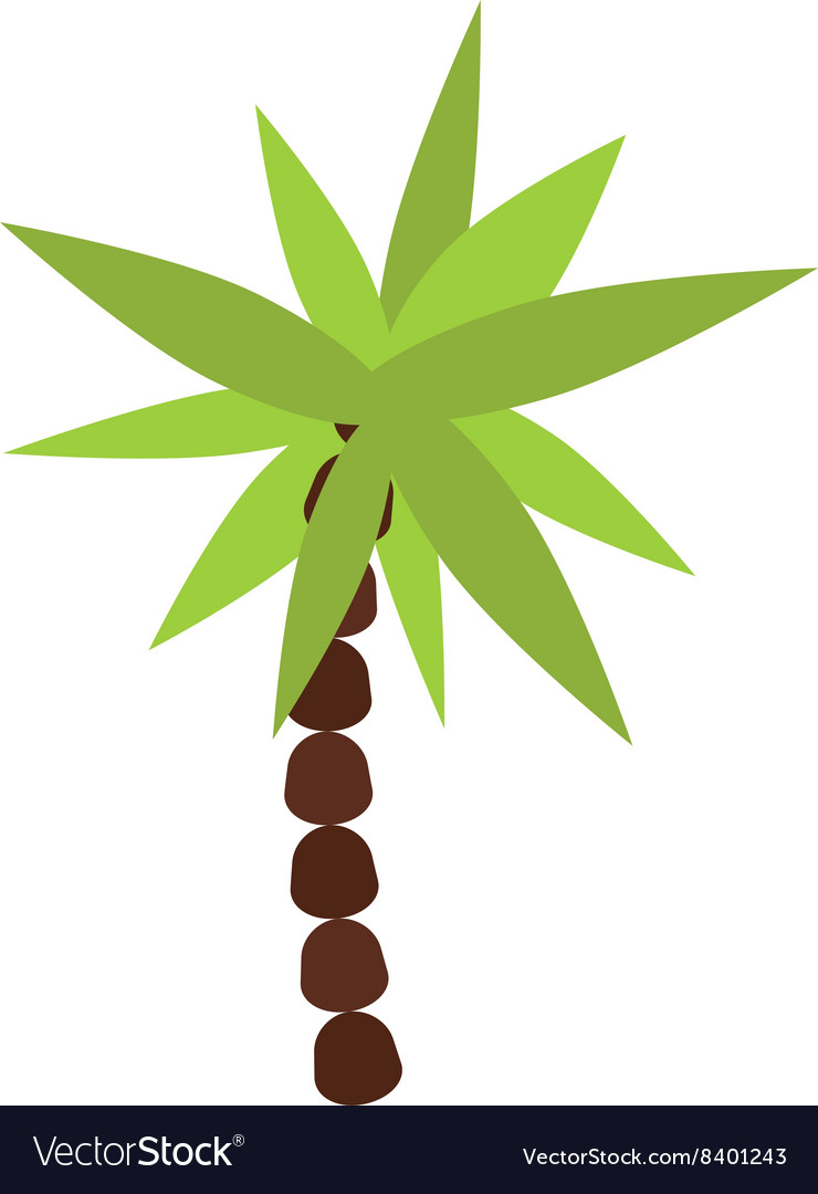 Palm summer tree tropical beach Royalty Free Vector Image