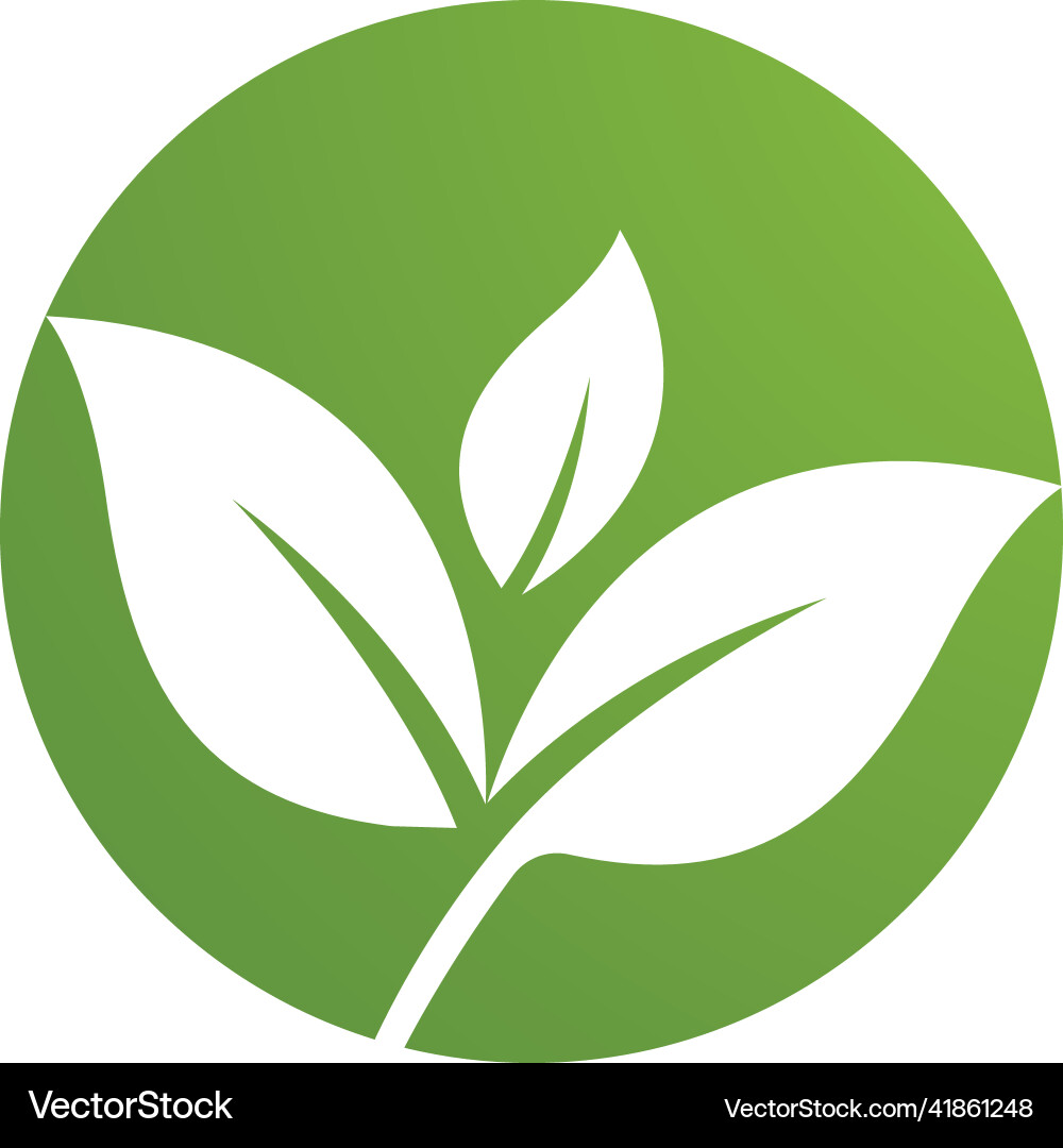 Eco tree leaf Royalty Free Vector Image - VectorStock
