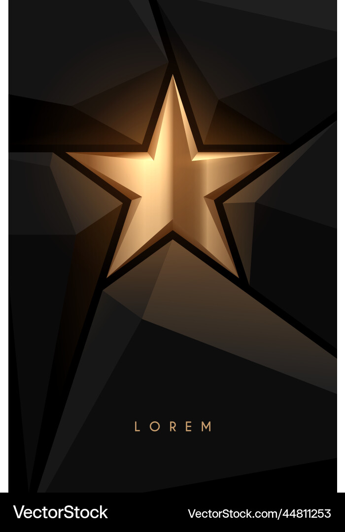Golden star shape on black stone background Vector Image