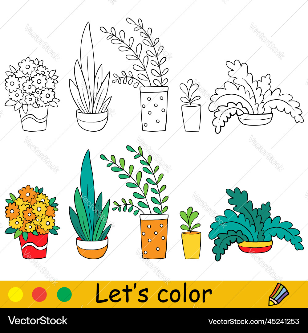 House plants coloring page with template Vector Image