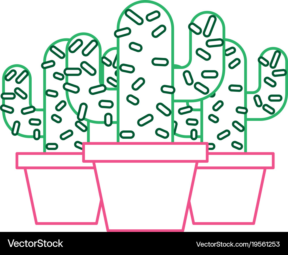 Three potted cactus plant natural Royalty Free Vector Image