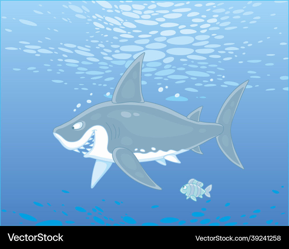Great white shark and a small striped fish Vector Image