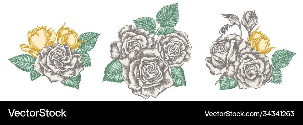 Flower bouquet pastel roses Royalty Free Vector Image