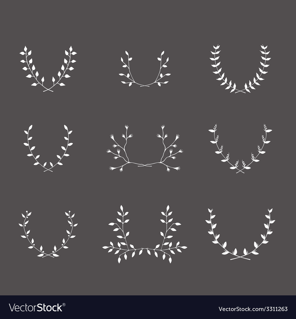 Hand-drawn branches graphic design elements set Vector Image