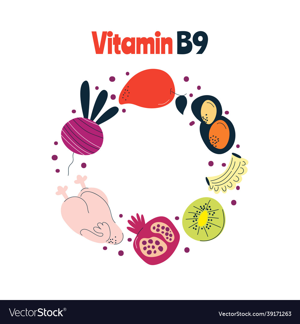 Main food sources of vitamin b9 healthy Royalty Free Vector Main food sources of vitamin b9 healthy Royalty Free Vector