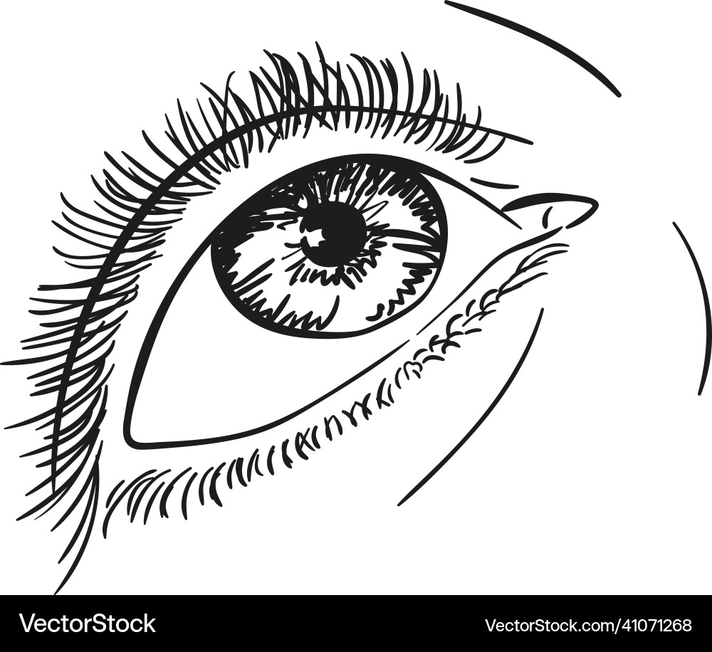 Eye Royalty Free Vector Image - VectorStock