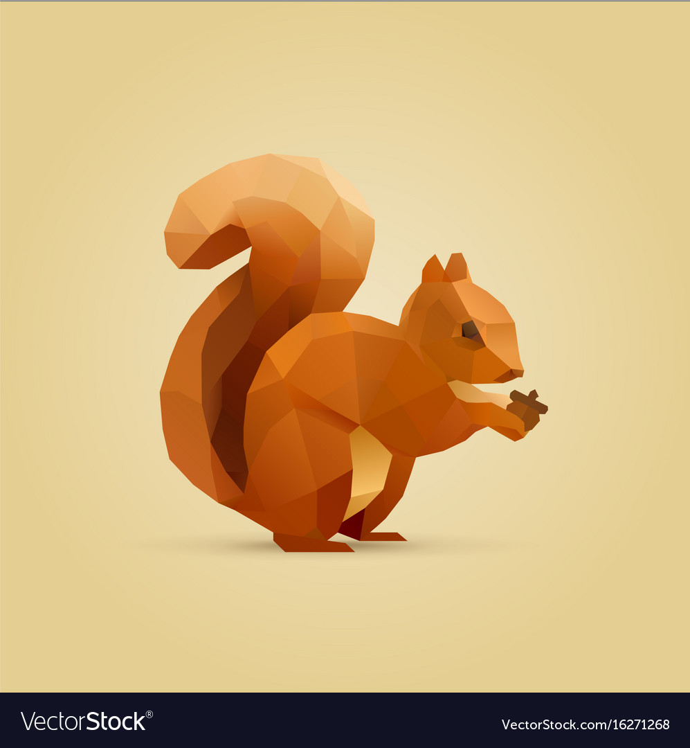 Squirrel Royalty Free Vector Image - VectorStock