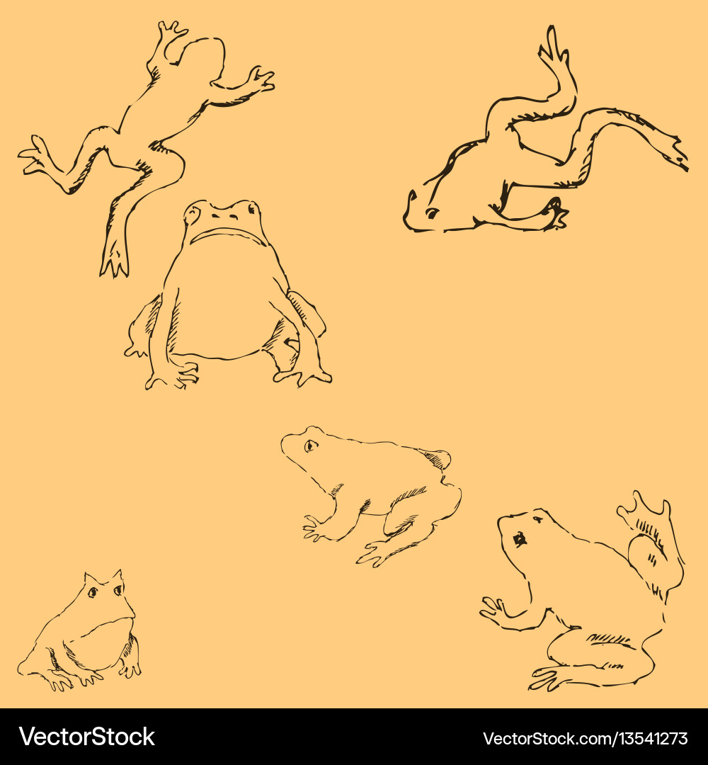 Frogs sketch by hand pencil drawing Royalty Free Vector