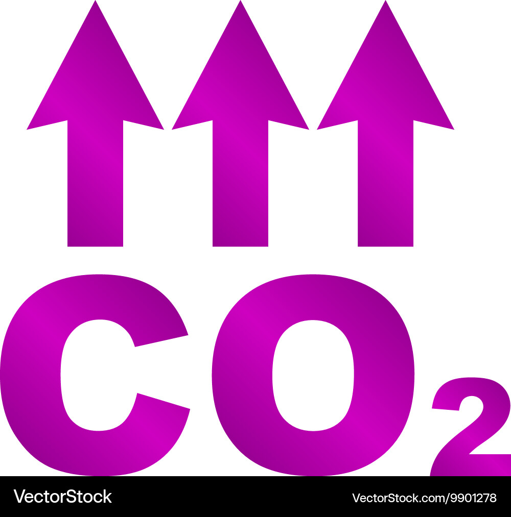 Chemistry sign co2 carbon dioxide icon Royalty Free Vector