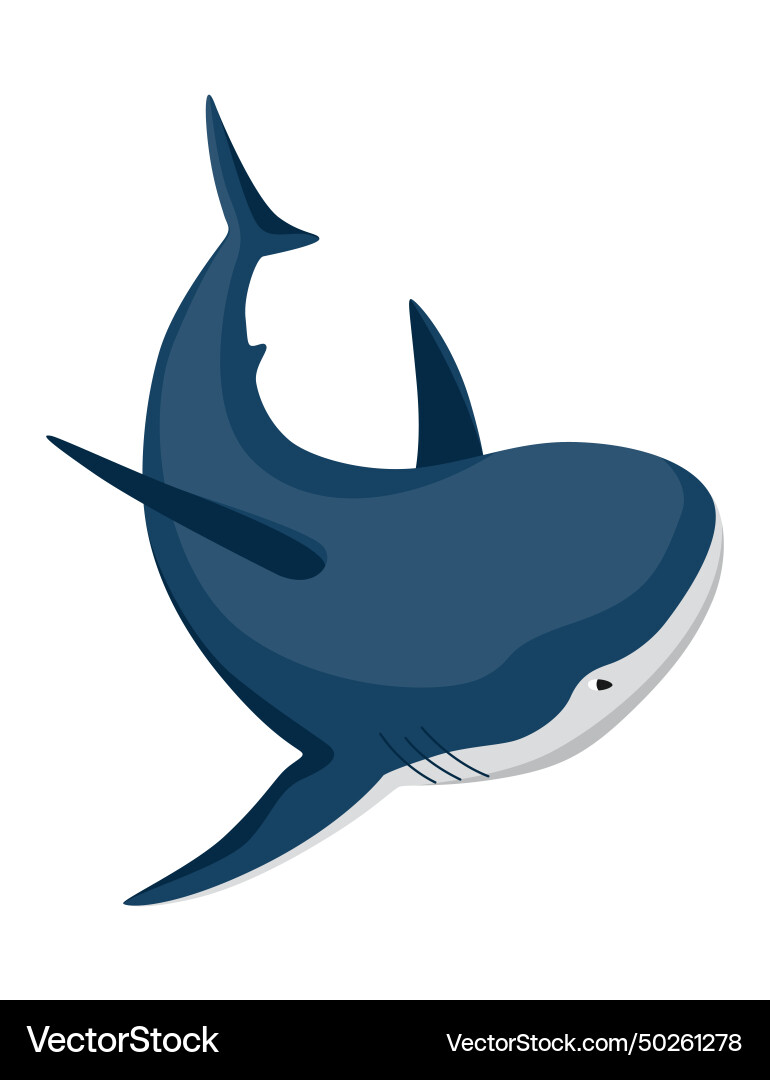Shark marine predator fish character underwater Vector Image