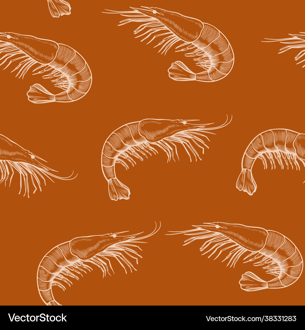 Seamless pattern with sea food shrimp drawn Vector Image