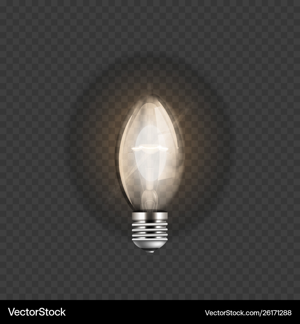 Light bulb or electric lamp 3d realistic Vector Image