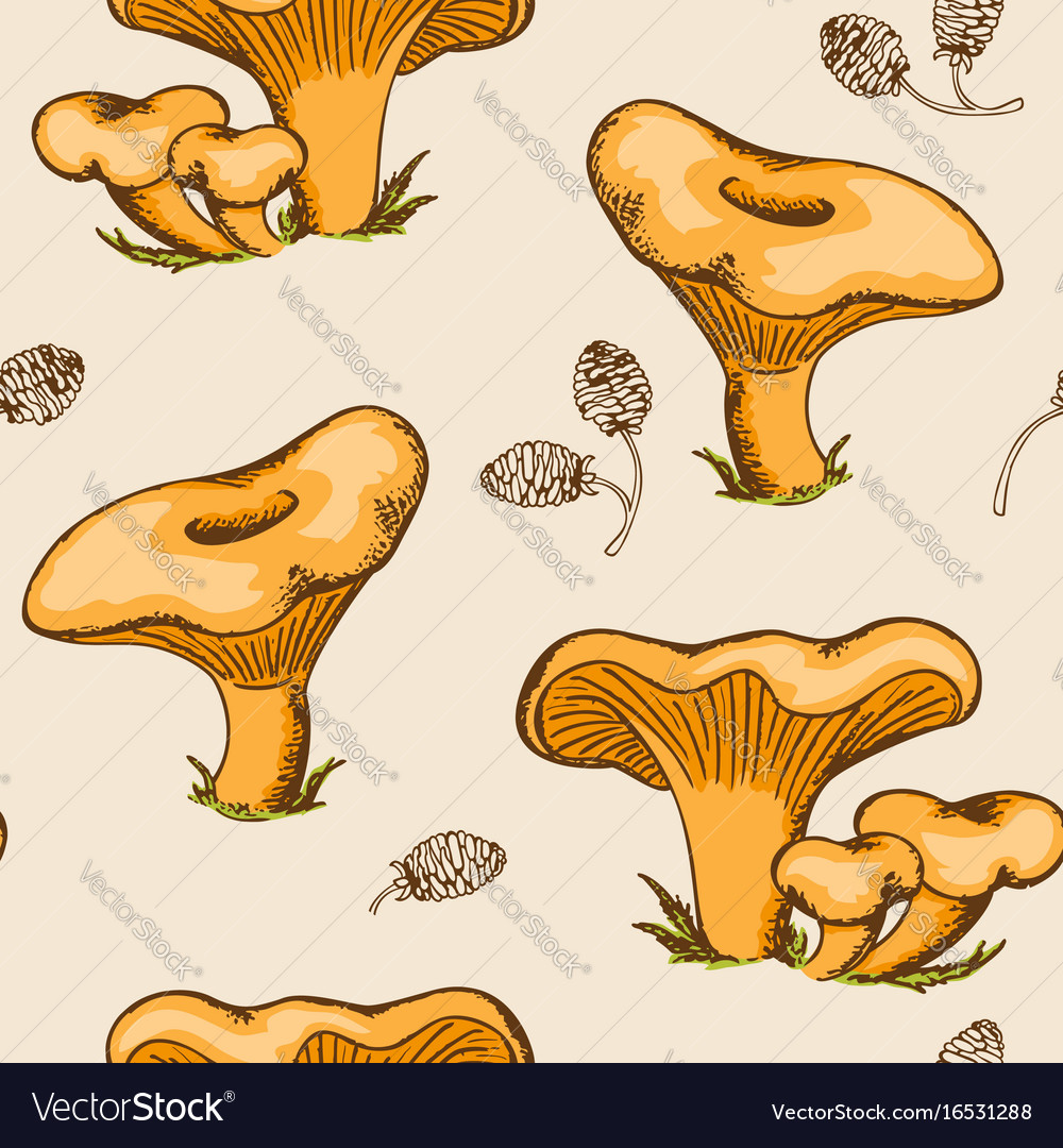 Pattern with forest mushrooms Royalty Free Vector Image