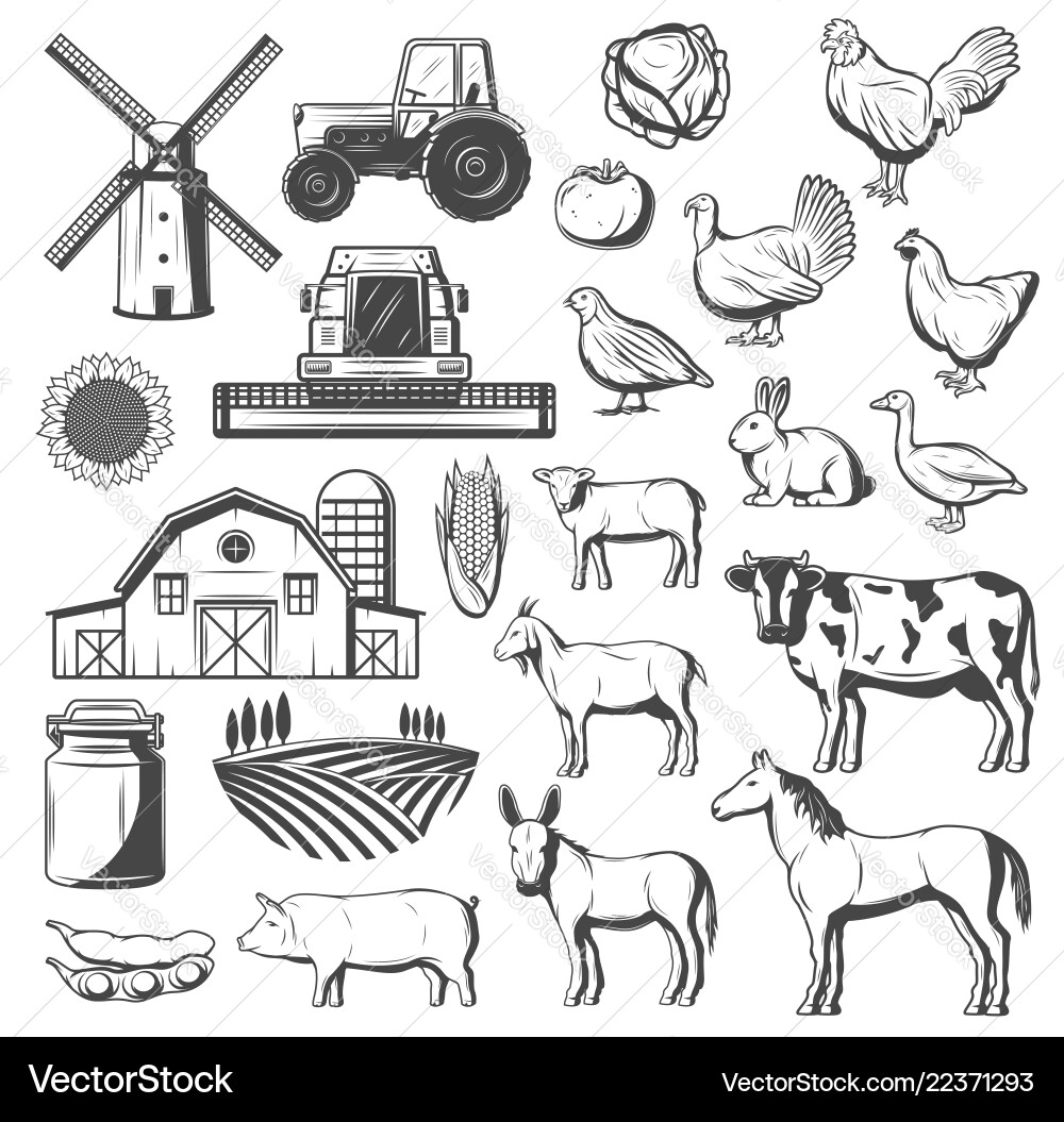 Farm agriculture and cattle Royalty Free Vector Image