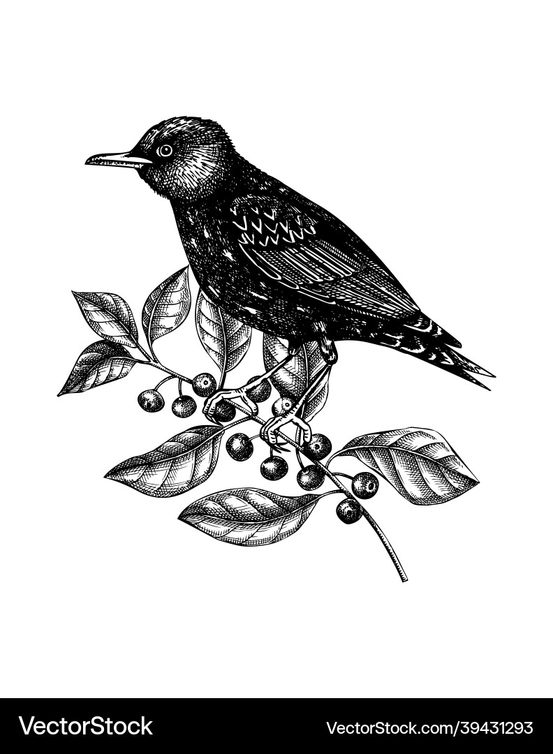 Hand-sketched bird with autumn flowers fall Vector Image