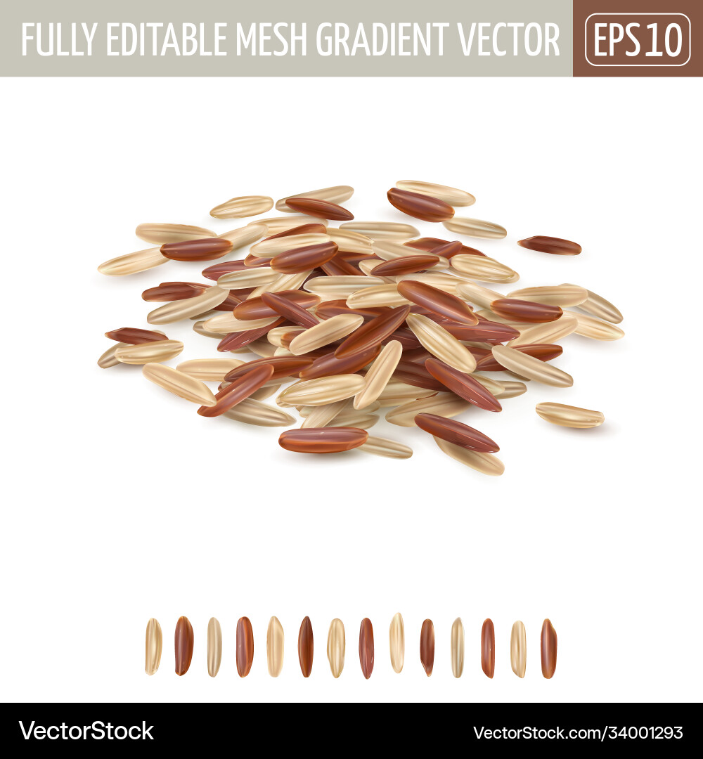 Mixed rice long grain brown and aromatic red Vector Image