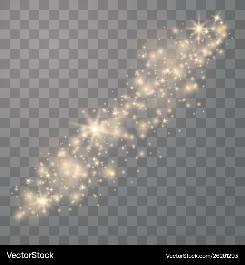 Sparkling magical dust particles Royalty Free Vector Image