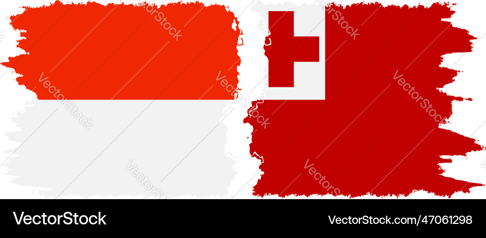 Tonga and indonesia grunge flags connection Vector Image