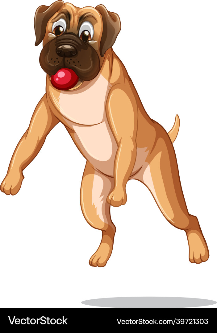 Boxer dog cartoon on white background Royalty Free Vector
