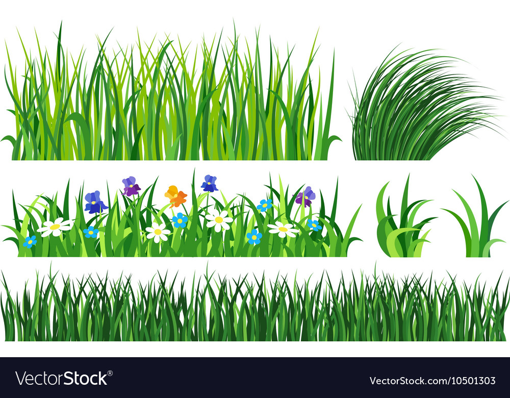 Grass Royalty Free Vector Image - VectorStock