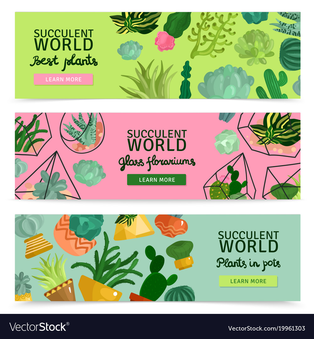 Succulents banners set Royalty Free Vector Image