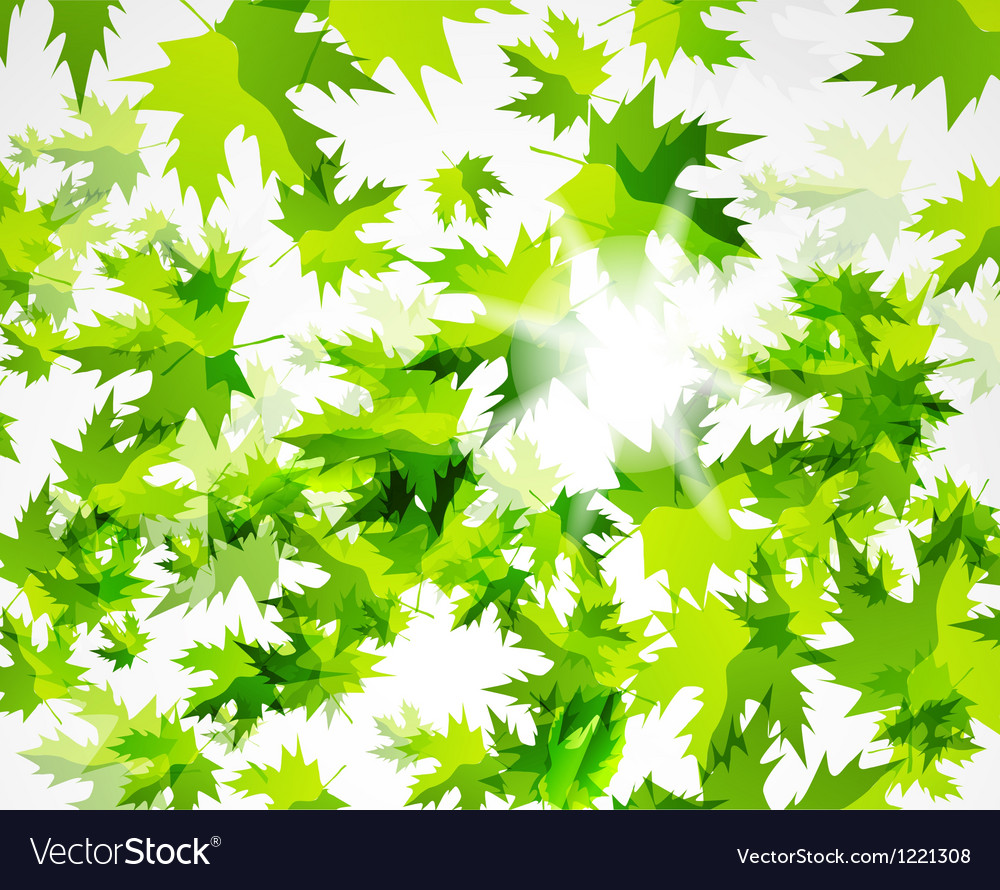 Green leaves pattern spring design template Vector Image