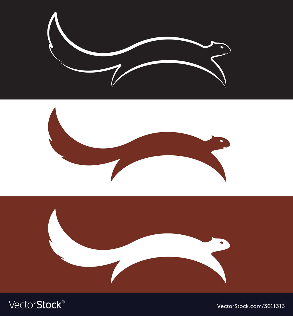 Squirrel Royalty Free Vector Image - VectorStock