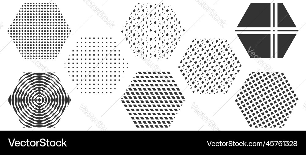 Collection of hexagon with decorative geometric Vector Image